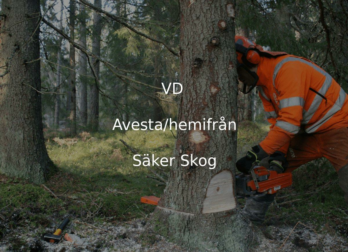 VD - Säker Skog