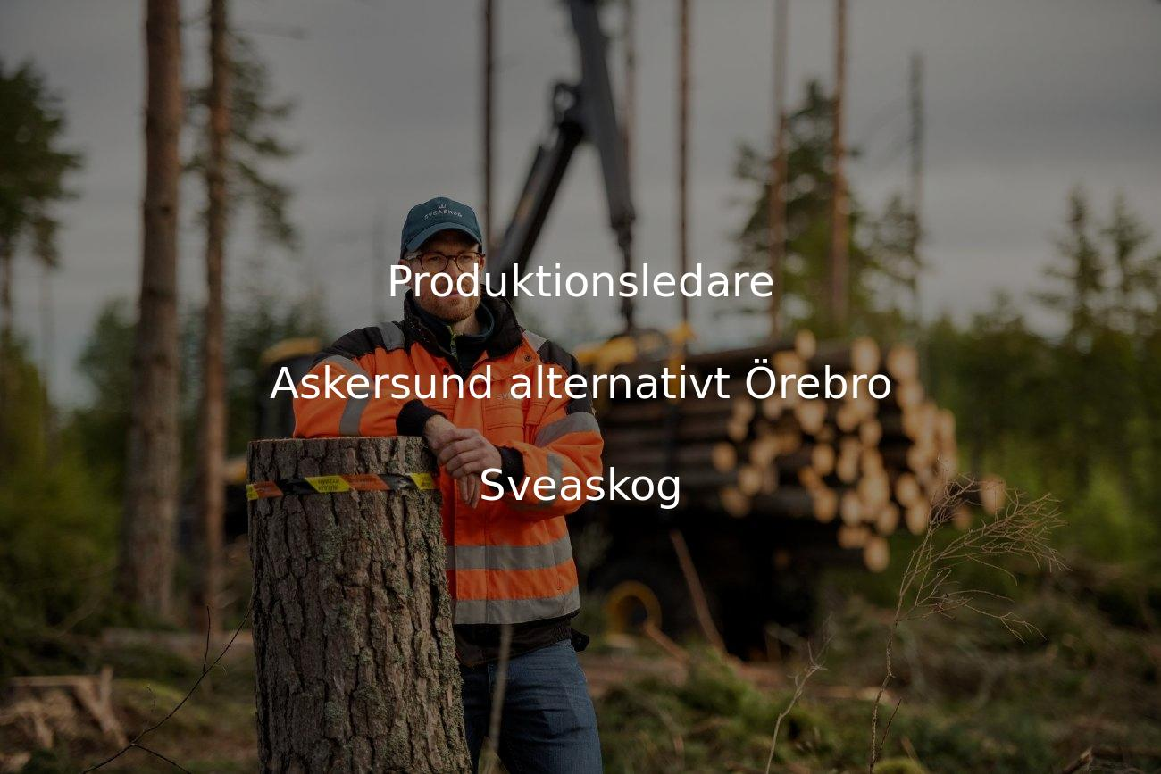 Sveaskog söker Produktionsledare till Svealand