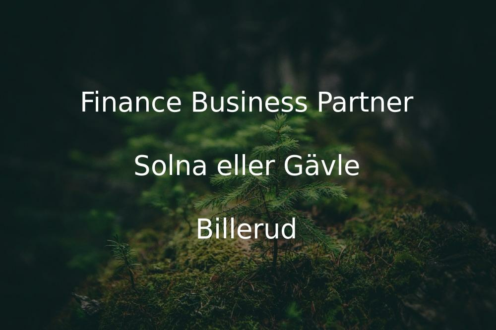 Finance Business Partner till Procurement & Wood Supply