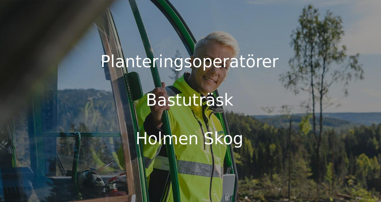 Planteringsoperatörer för maskinell plantering till Holmen Skog!